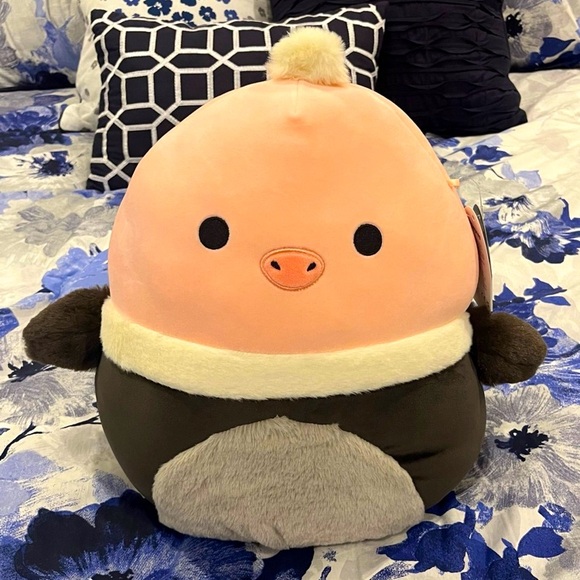 Squishmallows | Toys | Agnes Rose Squishmallow | Poshmark